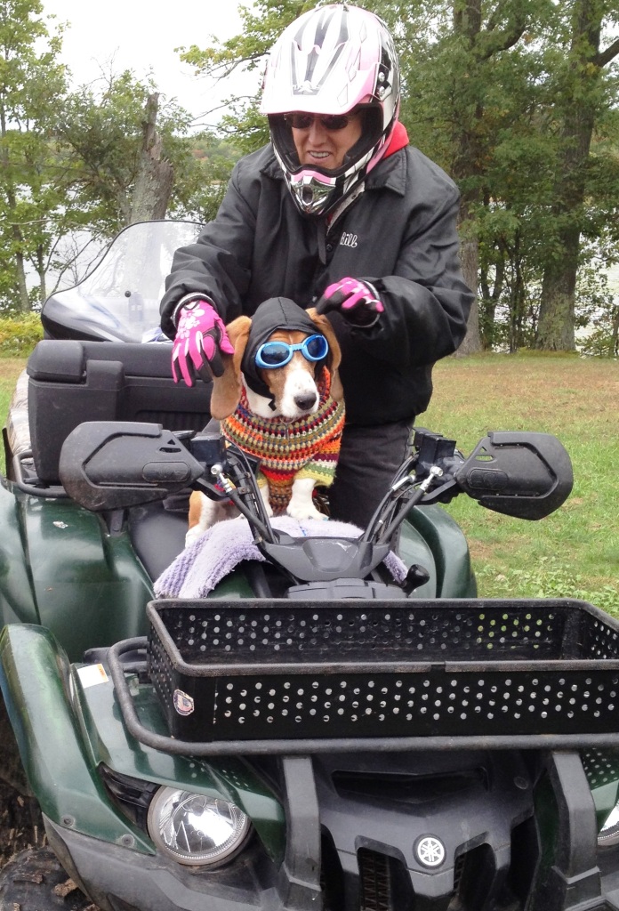 For The Animal Lovers: 7 Wisconsin Companies We Love - Discover Wisconsin