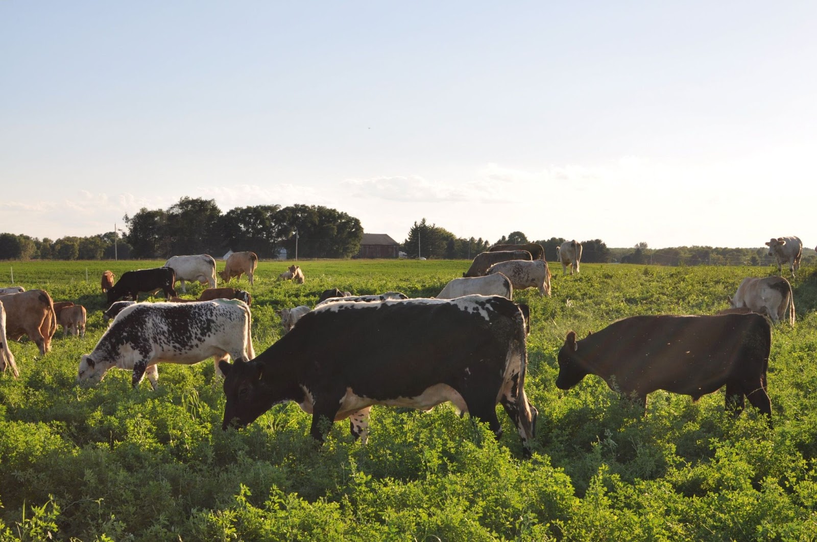 Wisconsin’s Agro-Tourism Gems Throughout the State - Discover Wisconsin
