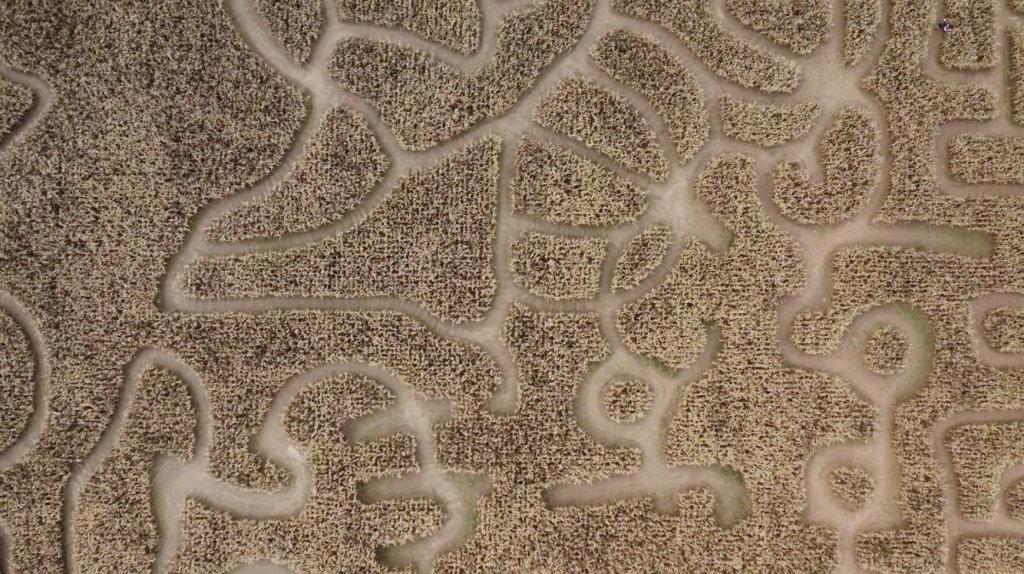 The Ultimate Guide To Exploring Calumet County Through All Four Seasons ...