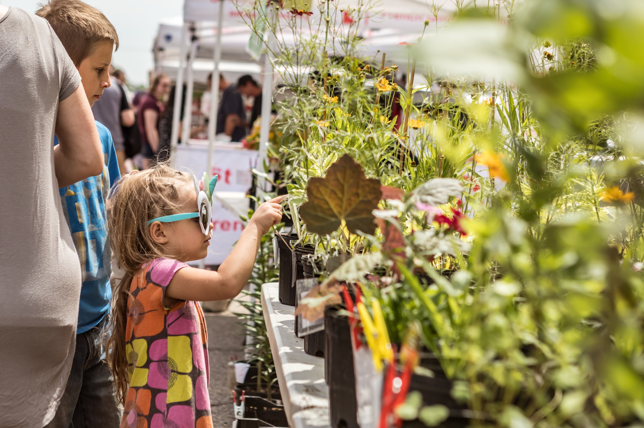 Experiencing Beloit Through Senses & Seasons - Discover Wisconsin