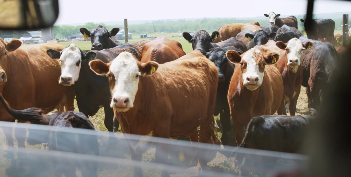 Generational Family Farms: Carrying on the Legacy - Discover Wisconsin