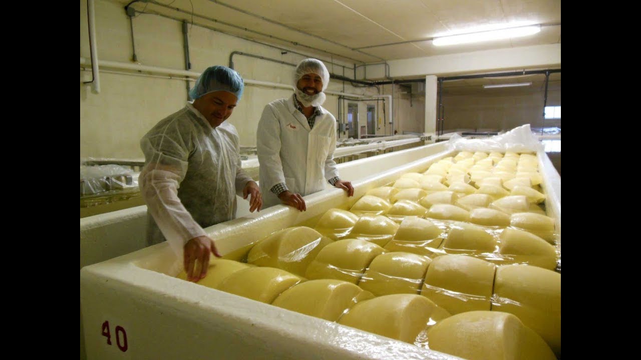 Wisconsin’s Cheese Heritage - Discover Wisconsin