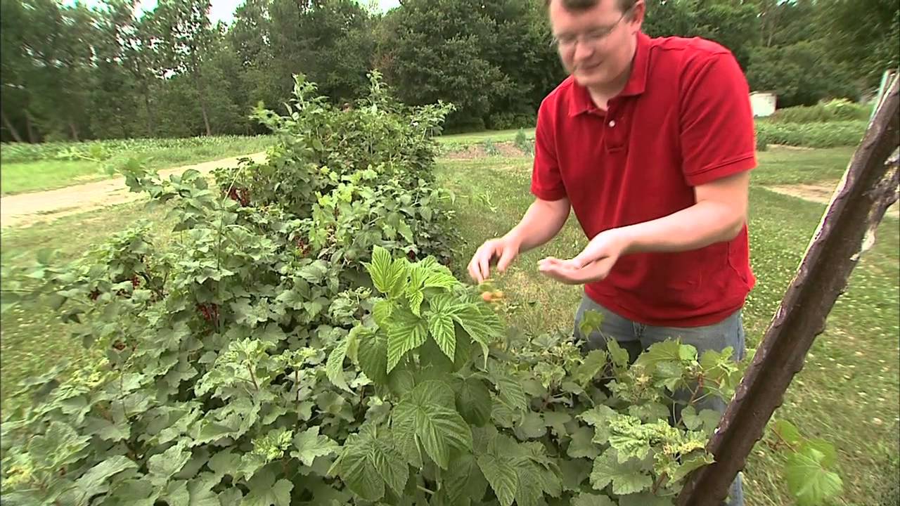 Agritourism | Discover Wisconsin - Discover Wisconsin