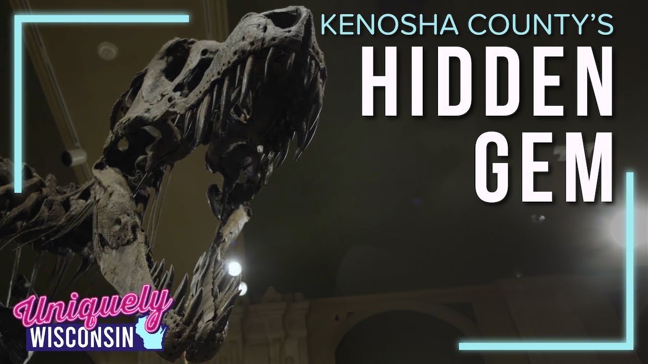 Unearthing the Past: A Hidden Gem in Archaeology & Paleontology ...