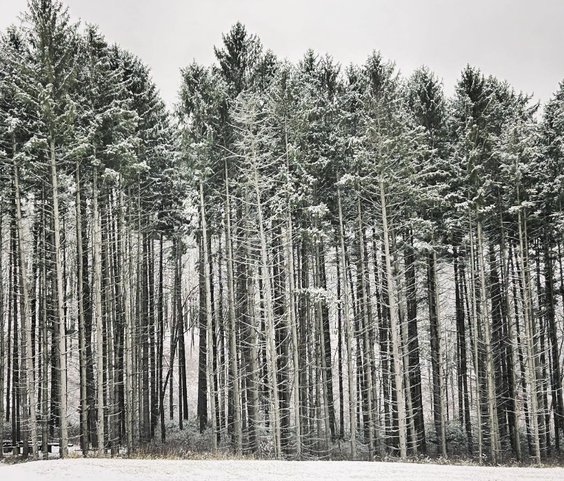 Home - Discover Wisconsin
