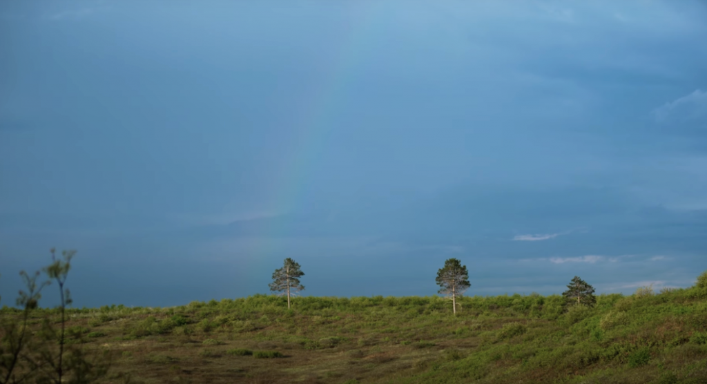 Discover the Barrens of Bayfield: Moquah, Bass Lake, & Barnes ...