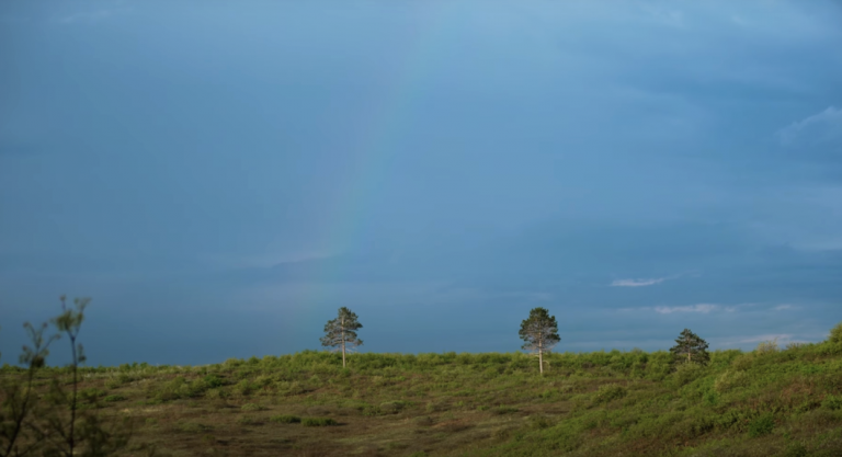 Discover the Barrens of Bayfield: Moquah, Bass Lake, & Barnes ...