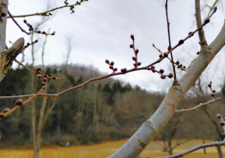 Vernon County: An Itinerary for Every Season - Discover Wisconsin