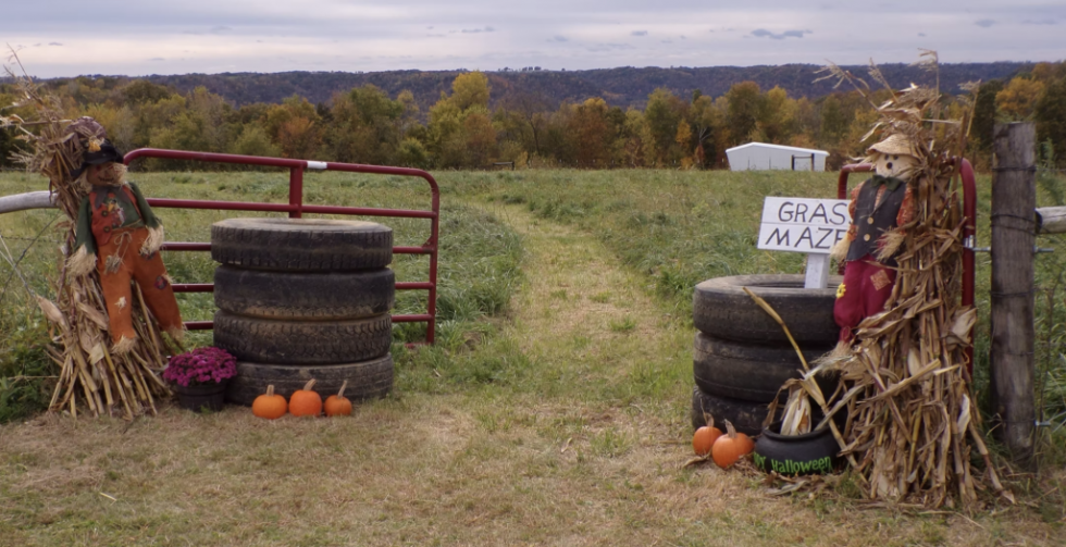 Vernon County: An Itinerary for Every Season - Discover Wisconsin