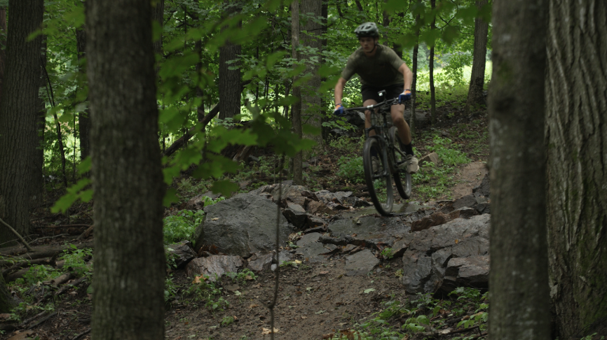 Celebrate 90 Years: 5 Must-Visit Wood County Parks - Discover Wisconsin