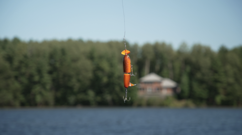 Celebrate 90 Years: 5 Must-Visit Wood County Parks - Discover Wisconsin
